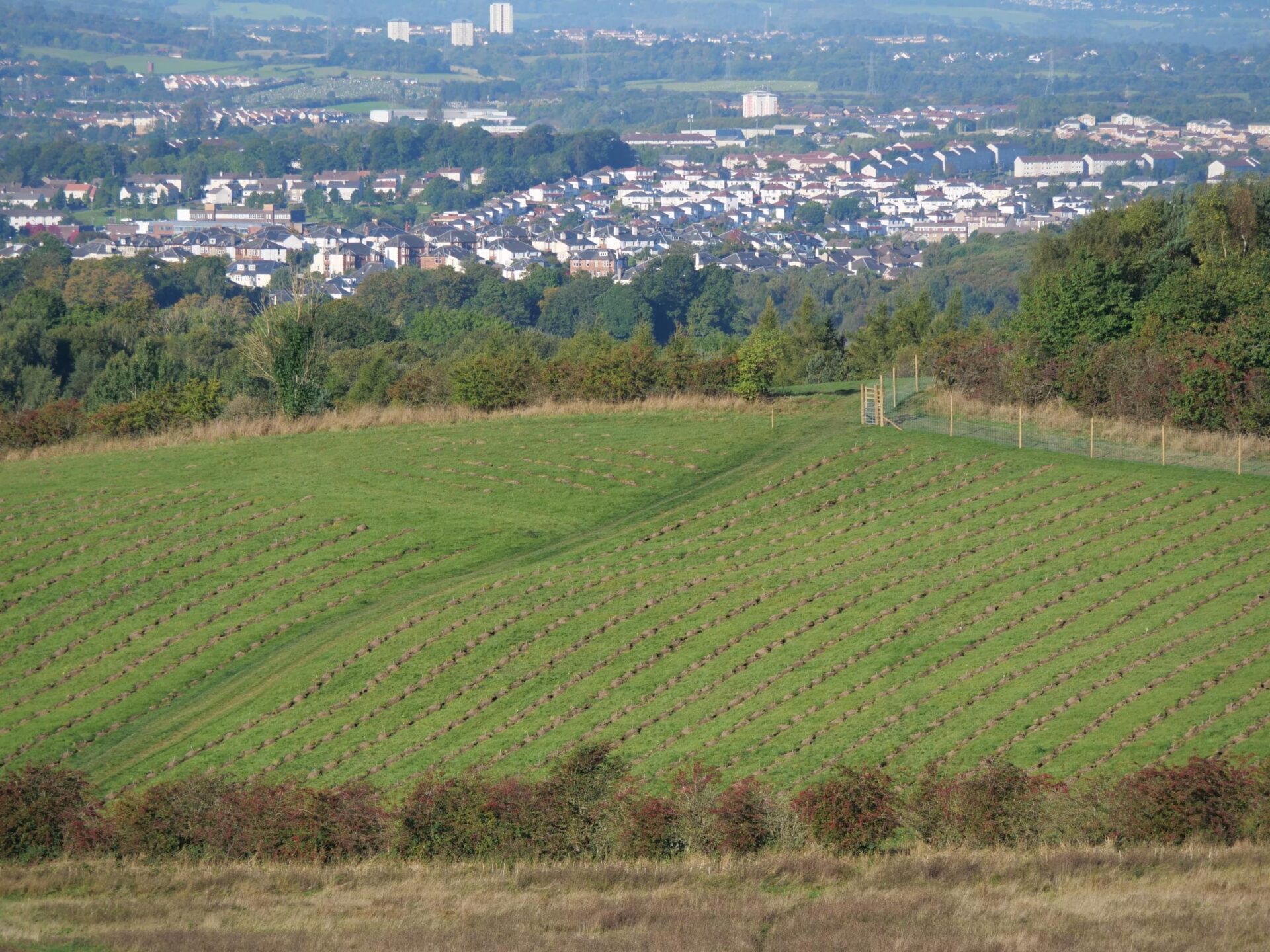 Clyde Climate Forest - Green Action Trust
