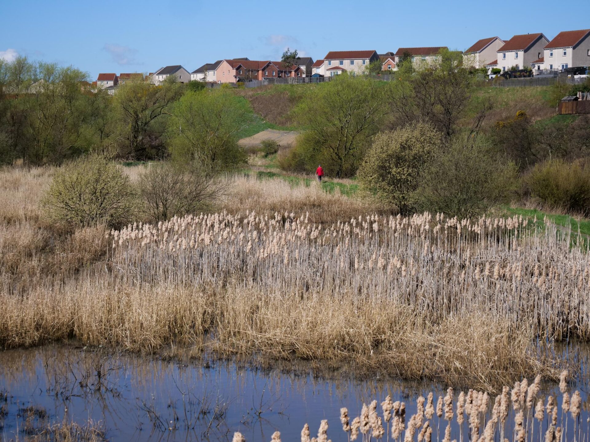Leven Programme - Green Action Trust