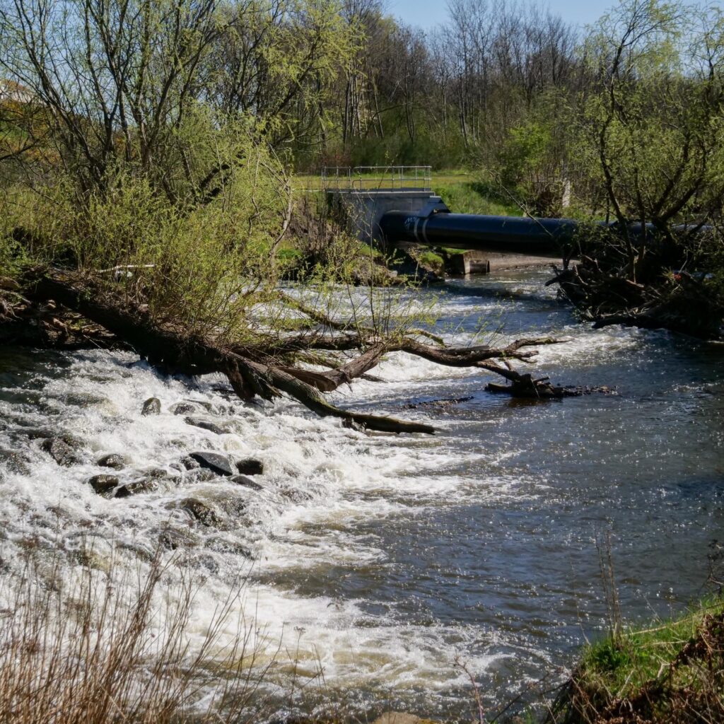 Sustainable water management - Green Action Trust