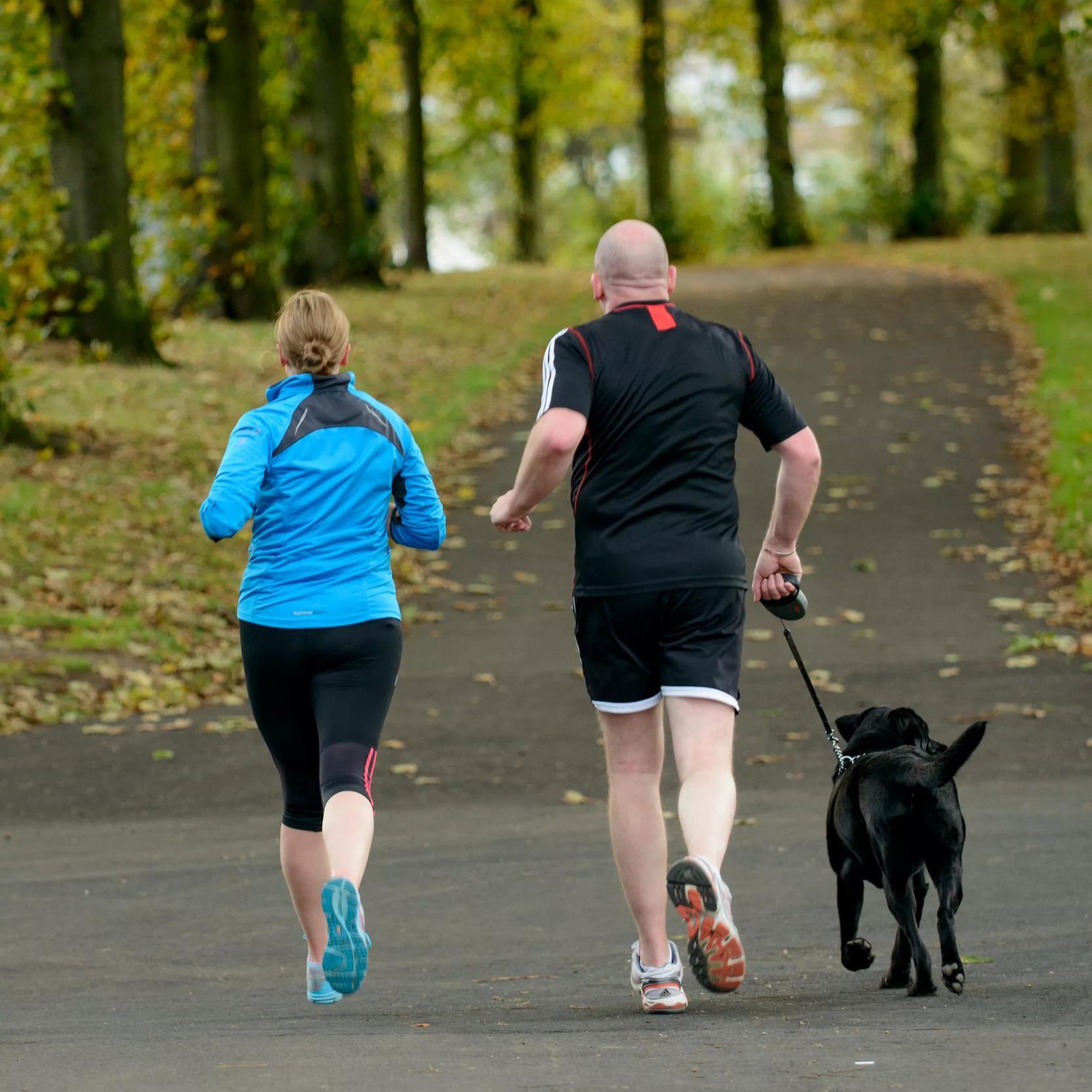 Urban greenspace - Green Action Trust