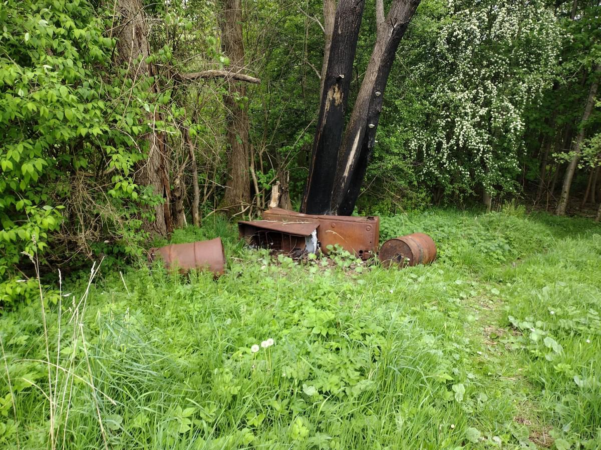 Cadder Woods - Green Action Trust