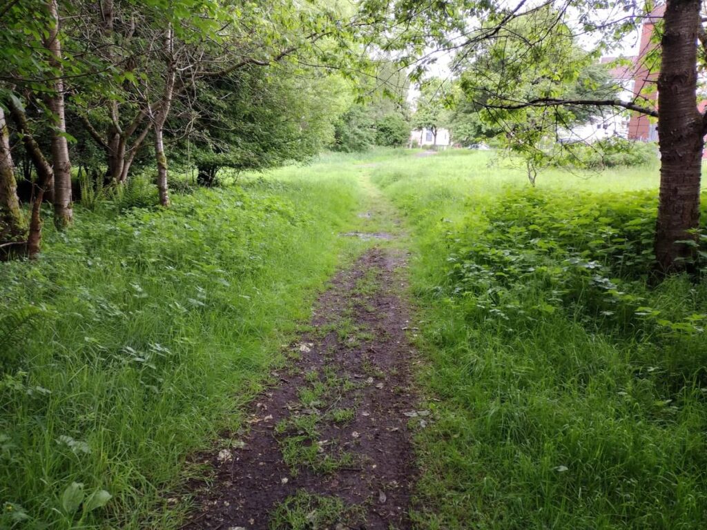 Cadder Woods - Green Action Trust