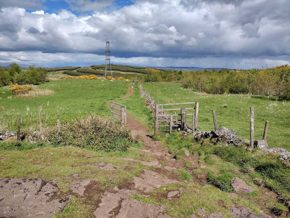 Kilmacolm Community Woodland - Green Action Trust