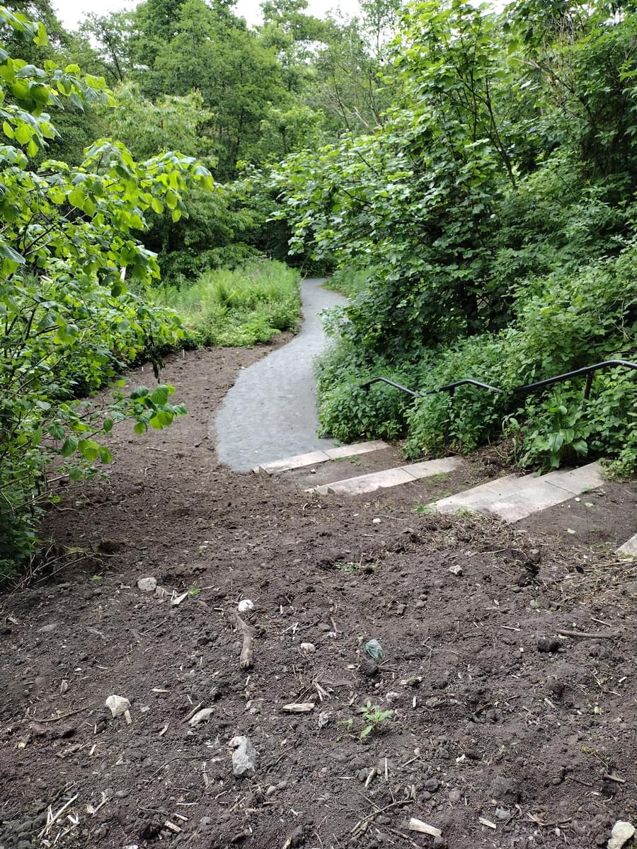 Polmont Woodlands - Green Action Trust