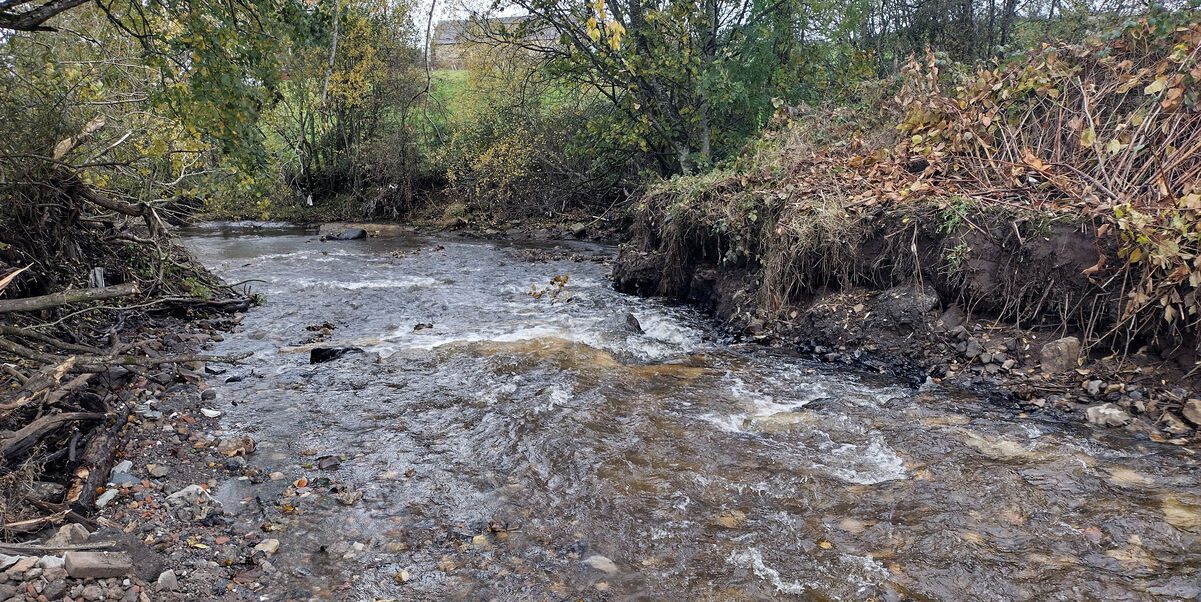 Crossmill Weir Removal - Green Action Trust